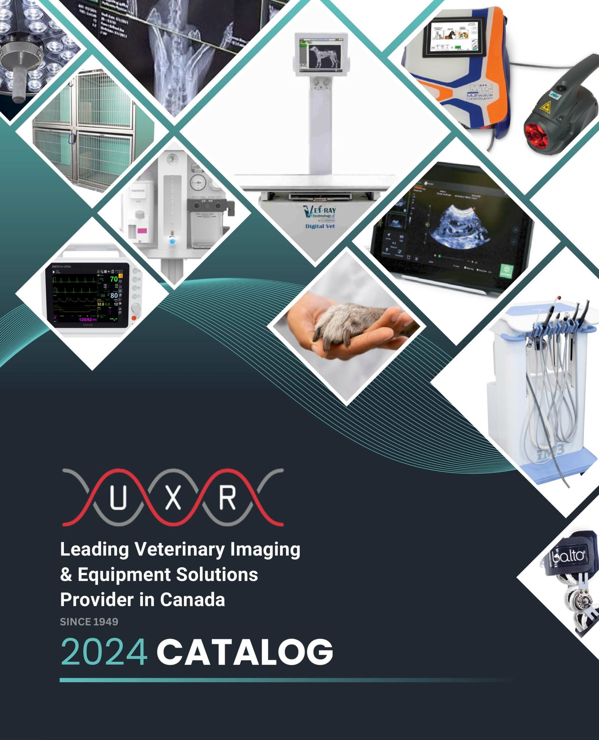 ANESTHESIA Archives - UXR